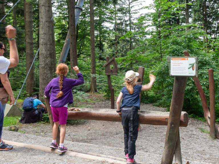 Waldwelt Allgäu: Erlebt den Naturerlebnispark in Scheidegg