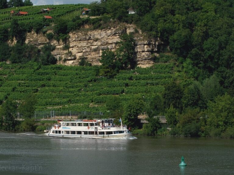 Lohnt sich eine Neckarschifffahrt ab Stuttgart mit Kindern?