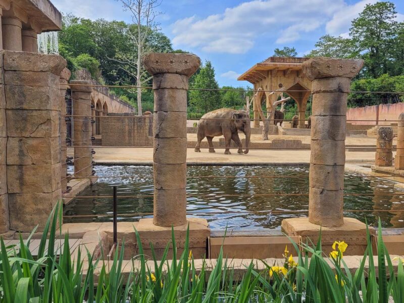 Das sind die 15 schönsten Zoos und Tierparks in Deutschland