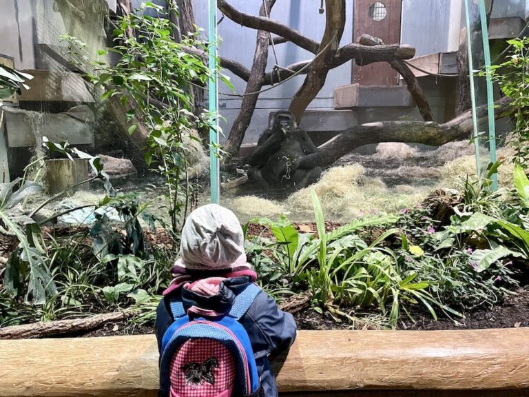 Das sind die 15 schönsten Zoos und Tierparks in Deutschland